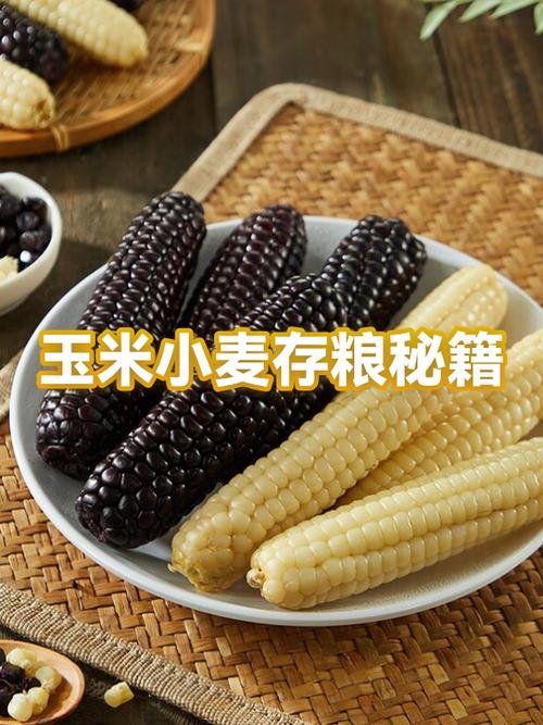 粮食可以储存多少年图标