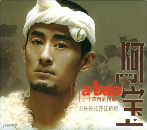阿宝专辑歌曲图标
