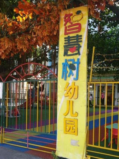 幼儿园智慧树图标