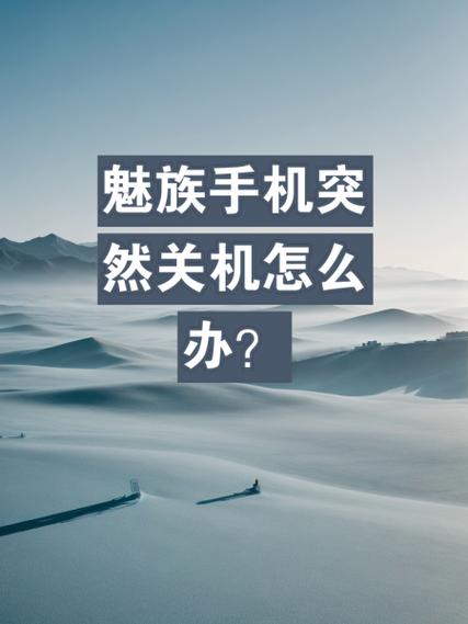 魅族手机用着就关机了截图