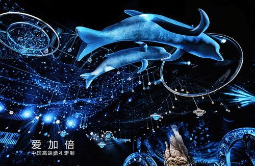 海豚星空连接LED图标