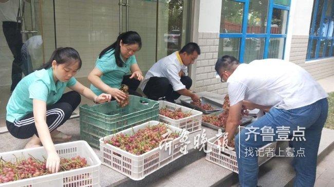 农科院福利截图