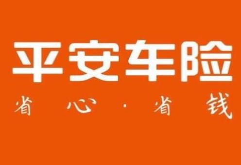 中国平安车险服务热线图标