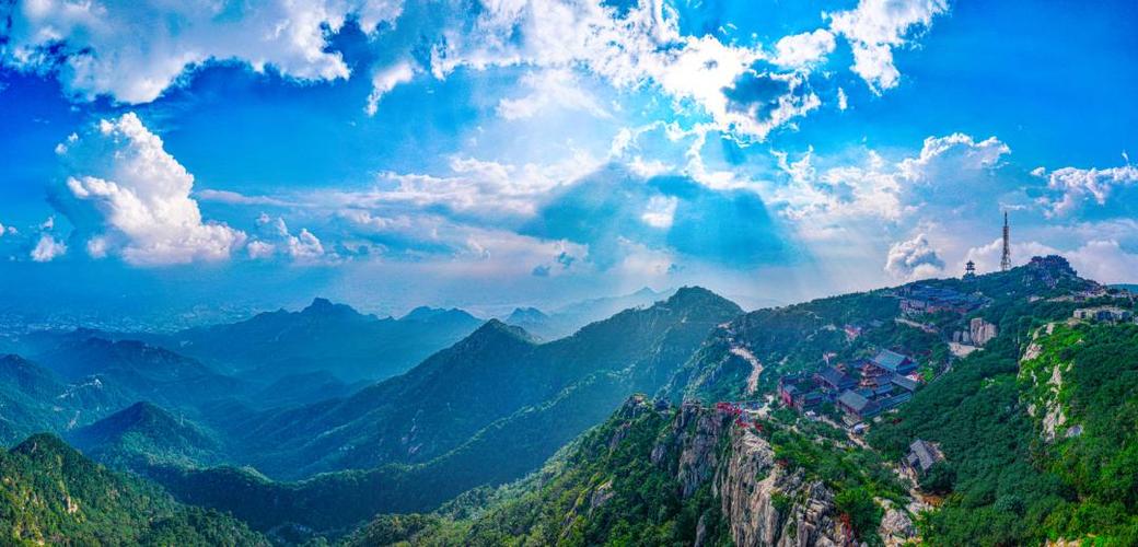 tarzan职业生涯图标