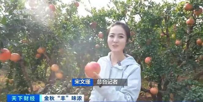 石榴新闻截图