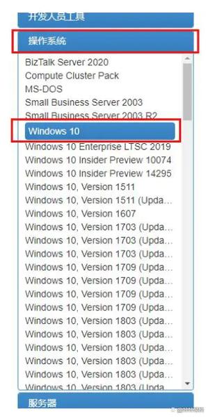 msdn官网下载win10截图