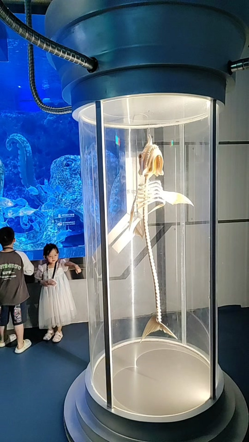 广州海洋馆海豹表演图标