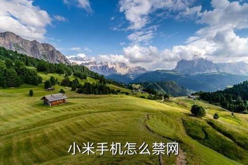 小米wifi把自己手机禁止了截图