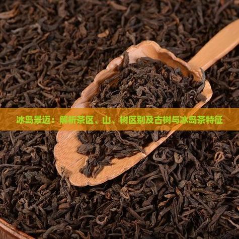 冰岛和景迈哪个好喝图标