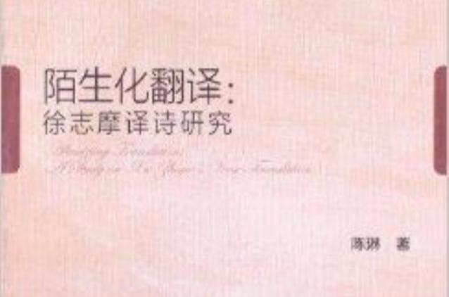 stranger翻译图标