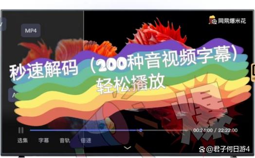 免费下载播放器苹果手机图标