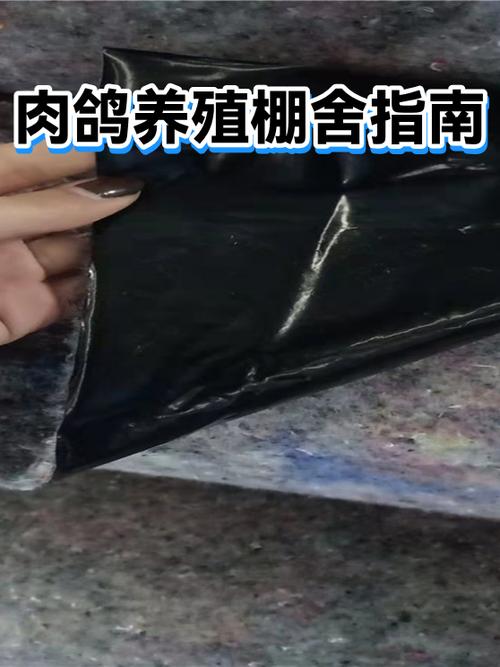 肉鸽养殖前景怎么样图标
