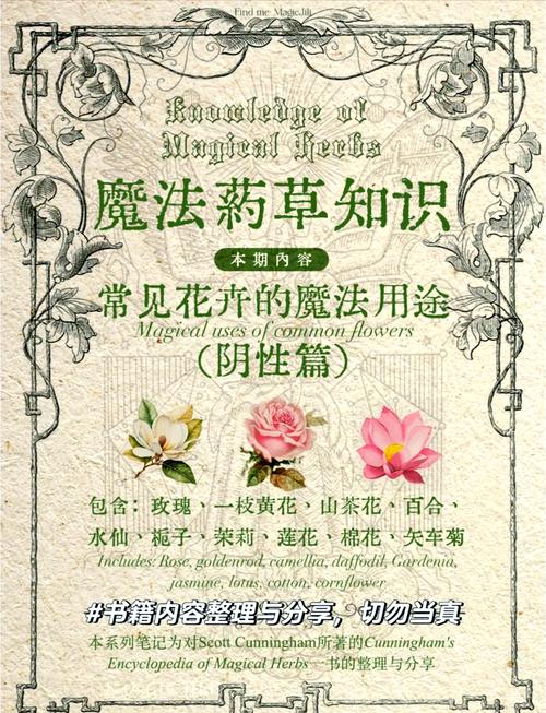 植物魔法魔力池怎么用图标