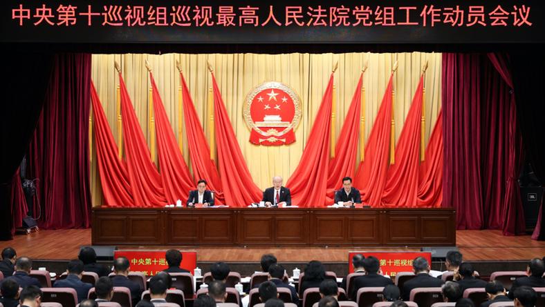 中央第十巡视组图标