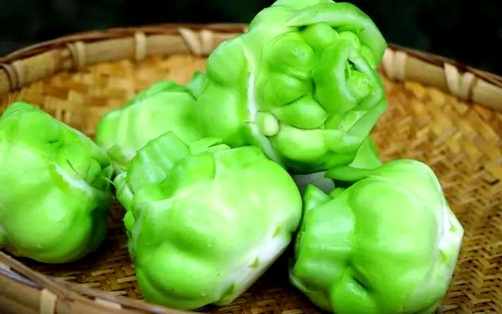 新鲜的榨菜头叫什么