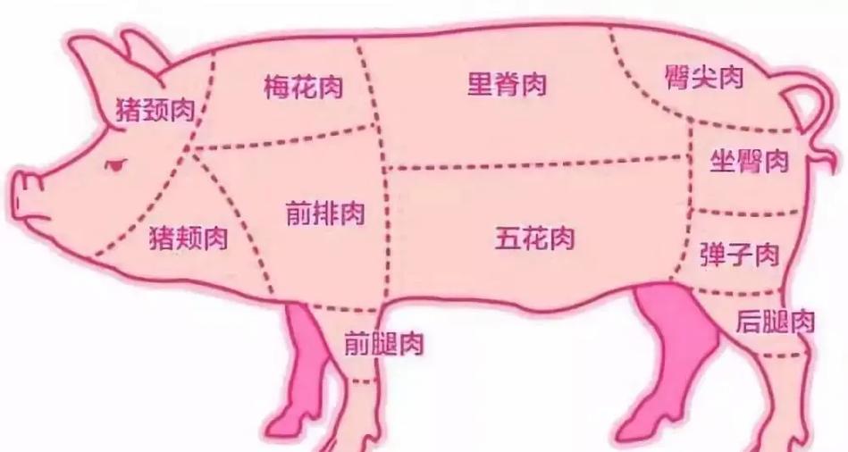 前腿肉和梅花肉一样吗图标