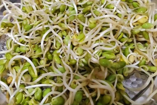 青豌豆放冰箱发芽了还能吃吗图标