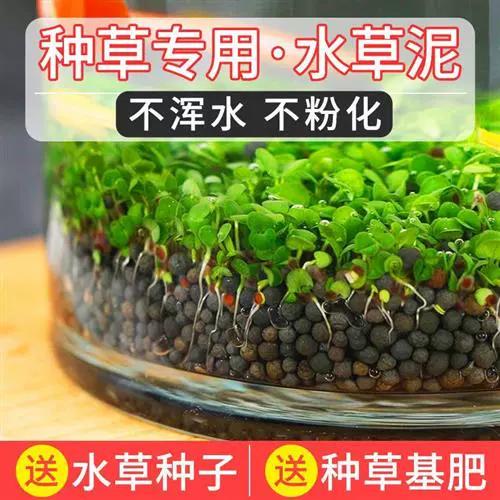 水草泥和陶粒砂有啥区别图标