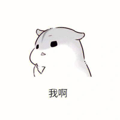 仓鼠表情包整套图标