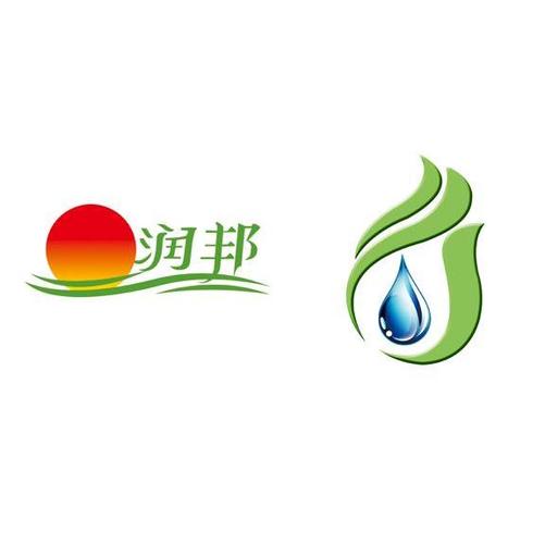 武汉润邦科技有限公司图标