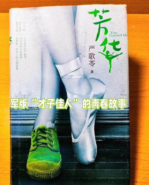 芳华录 小说截图