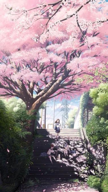 樱花动漫下拉式