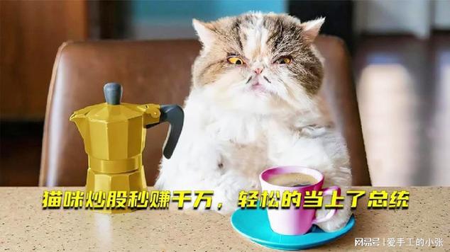 秒看视频能赚钱吗图标