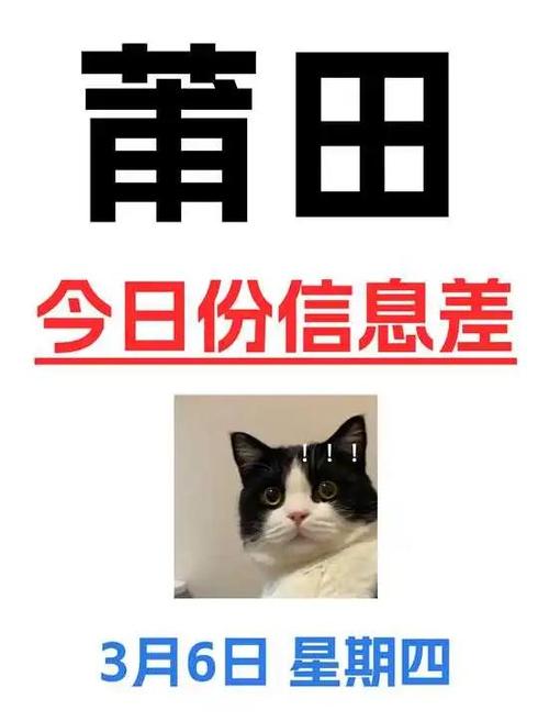 莆田二套线上看截图