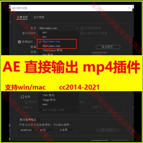 aftercodecs注册码截图