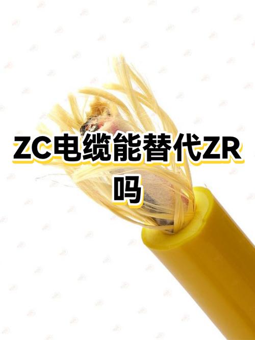 ZC能代替ZR吗图标