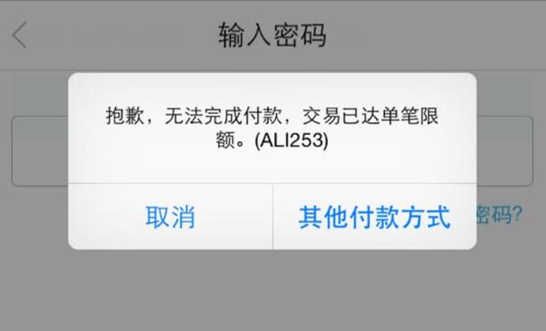 苹果支付限额设置图标
