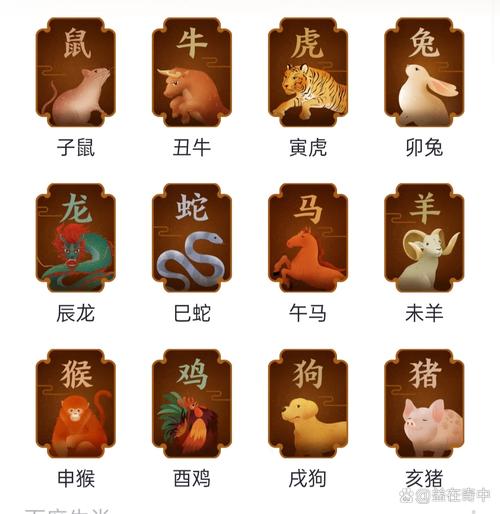6612十二生肖图标