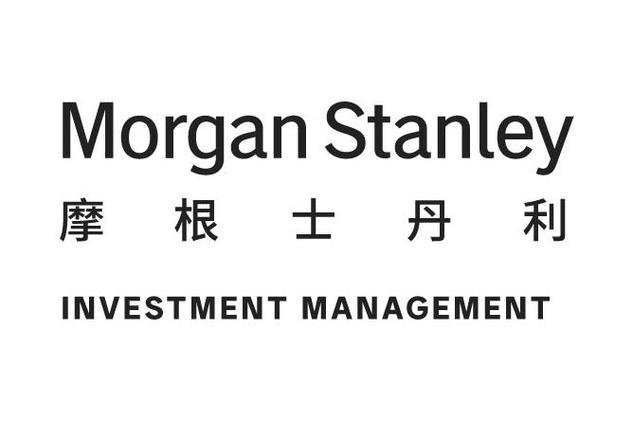 摩根士丹利基金图标