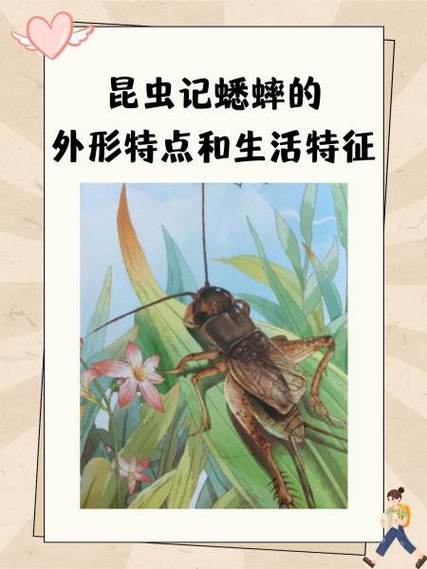 蟋蟀生活在哪个季节图标