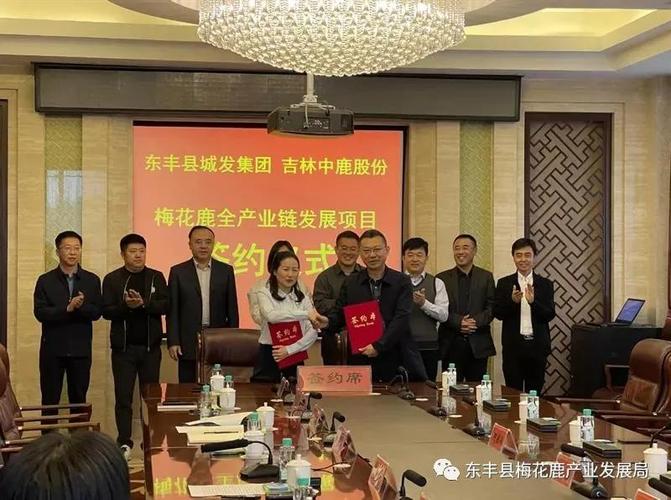 中鹿股份有限公司图标