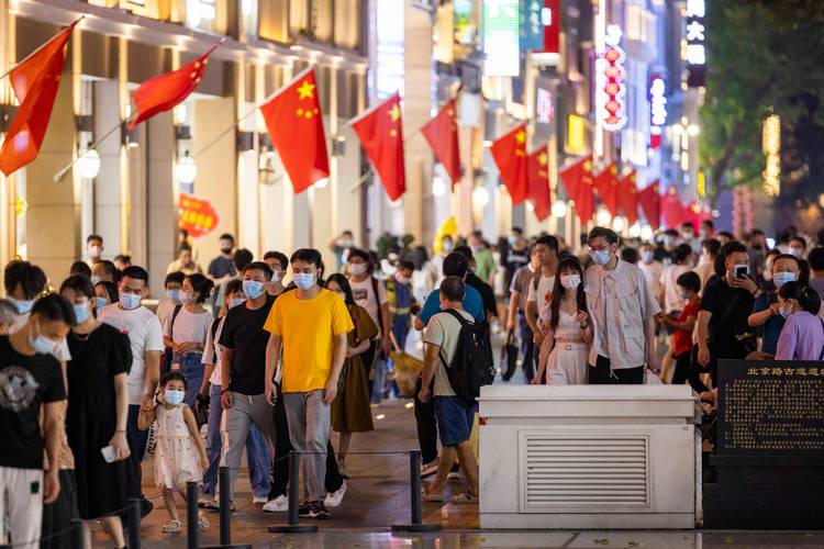 城乡居民医保缴费查询图标