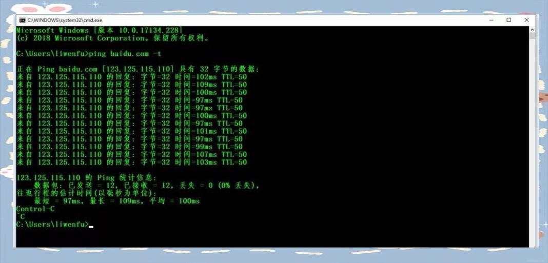 高级cmd攻击命令截图