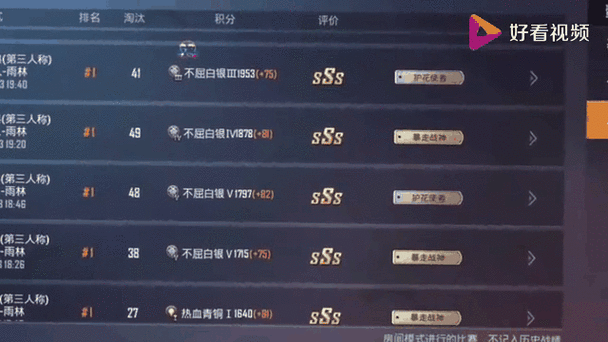 和平精英淘汰的人从哪看