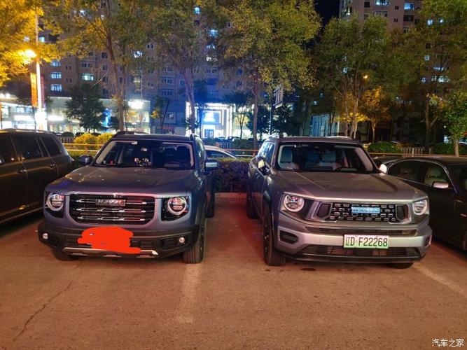 大狗对比二狗图片