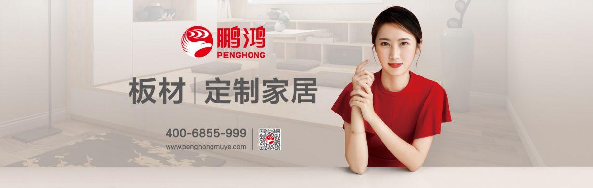 鹏鸿生态板广告女是谁图标