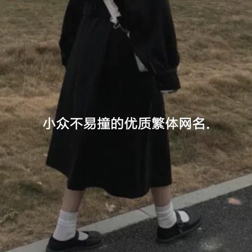 小众而又惊艳ins网名截图