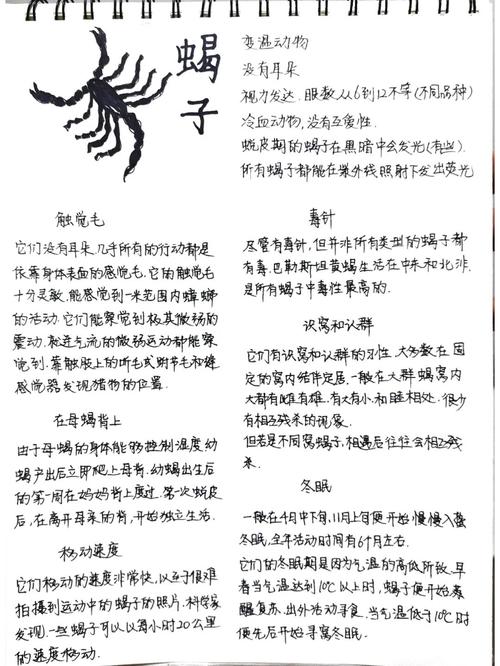 蝎子的生活环境及特点缩略图