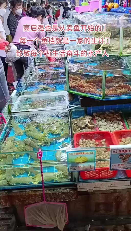 卖鱼朋友圈的句子截图