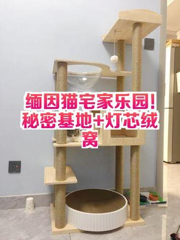 猫宅图标