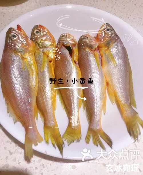小黄鱼app交易平台图标