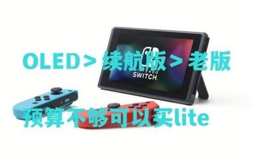 国内switch买什么版本截图