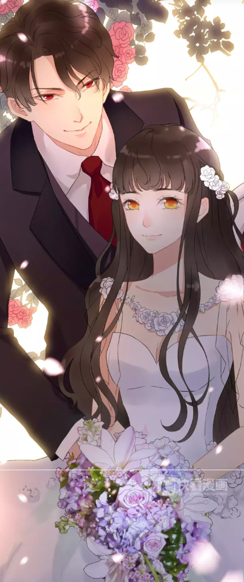 闪婚总裁契约妻漫画免费下拉式奇妙图标