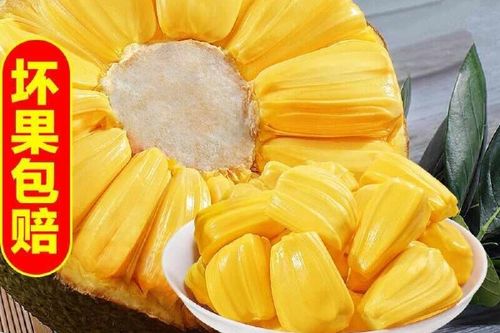 菠萝蜜在哪里进货便宜图标