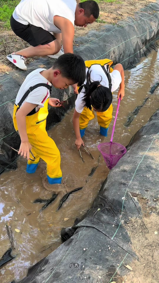 抓鱼抓螃蟹的赶海游戏