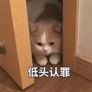 哄老婆表情包图标